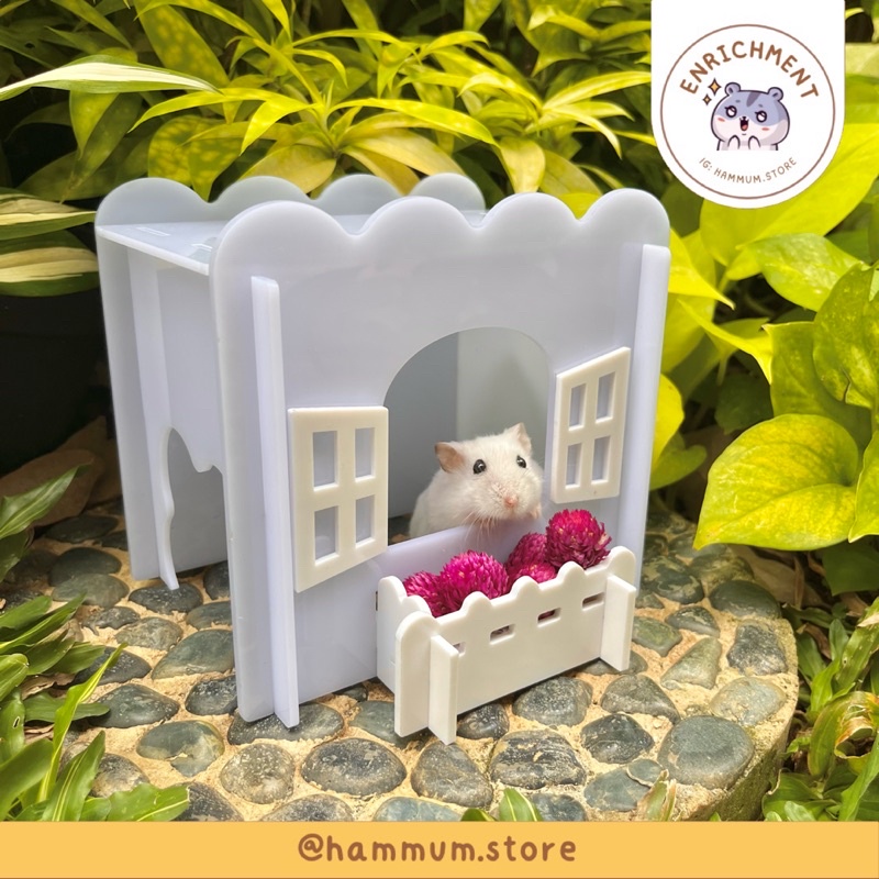 Jual Rumah Hamster Akrilik A4 | Garden House | Acrylic Hamster Hideout | Hamster House | Tempat ...