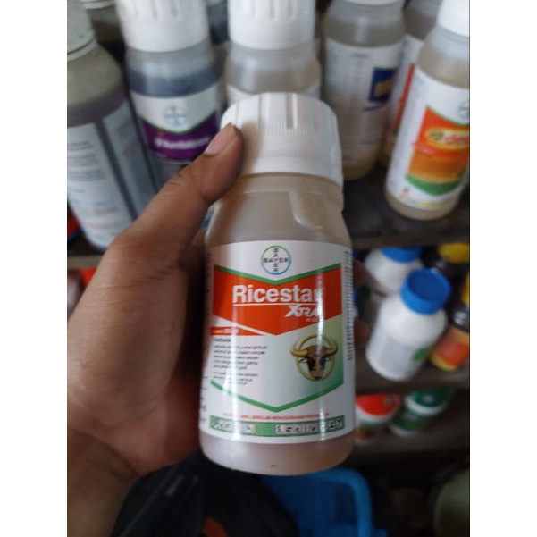 Jual Herbisida Ricestar Xtra 89OD 250 ml | Shopee Indonesia