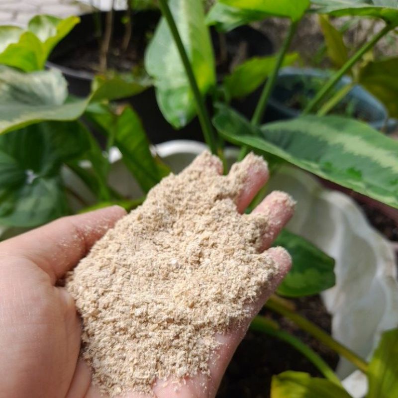 Jual Dedak padi pakan ternak berkualitas | Shopee Indonesia