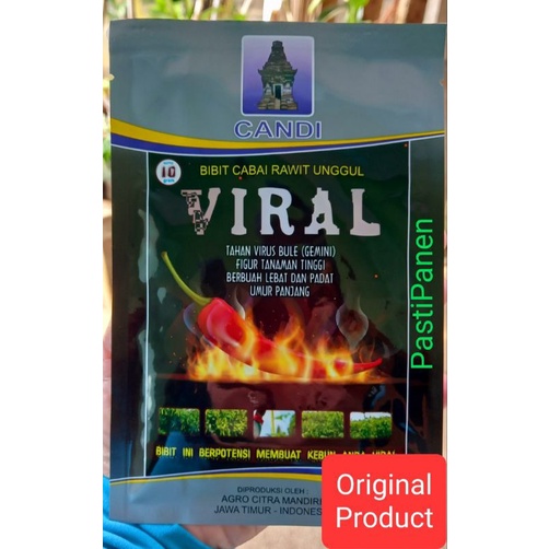 Jual Benih Cabe rawit VIRAL 10gr, ..cabe rawit unggul VIRAL Original ...