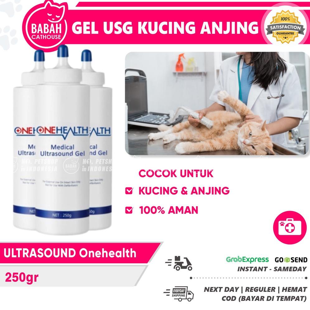 Jual PRODUK- ONEHEALTH ULTRASOUND USG GEL UNTUK INDUK KUCING HAMIL ...
