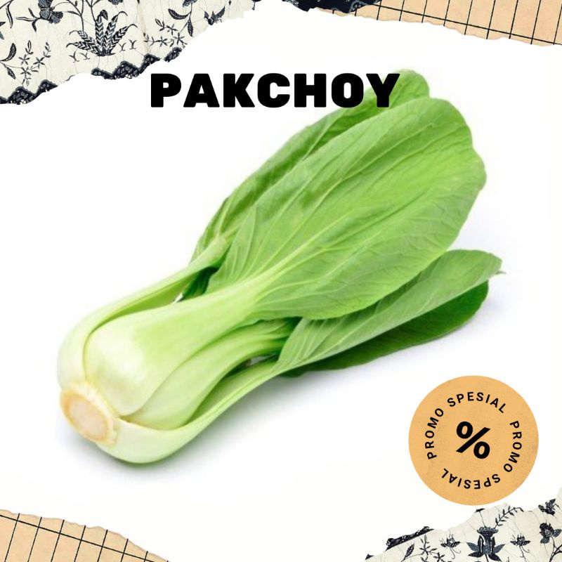 Jual SAYUR PAKCOY / SAWI SENDOK FRESH | Shopee Indonesia