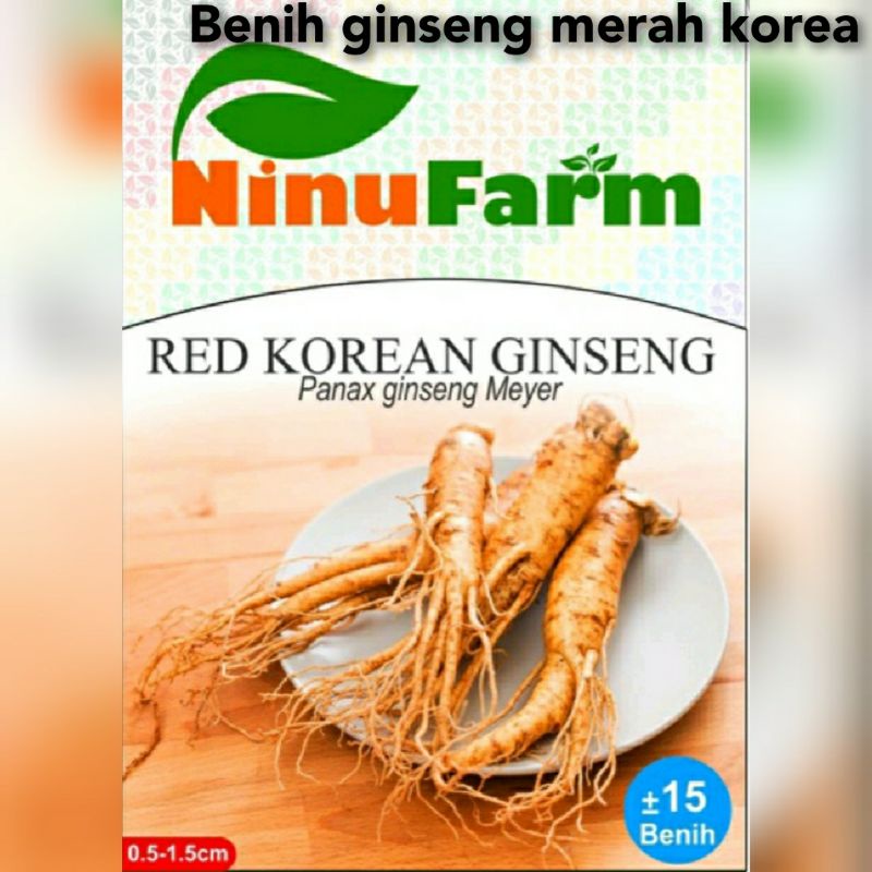 Jual Benih Ginseng Merah Korea Kemasan Asle 15 biji | Shopee Indonesia