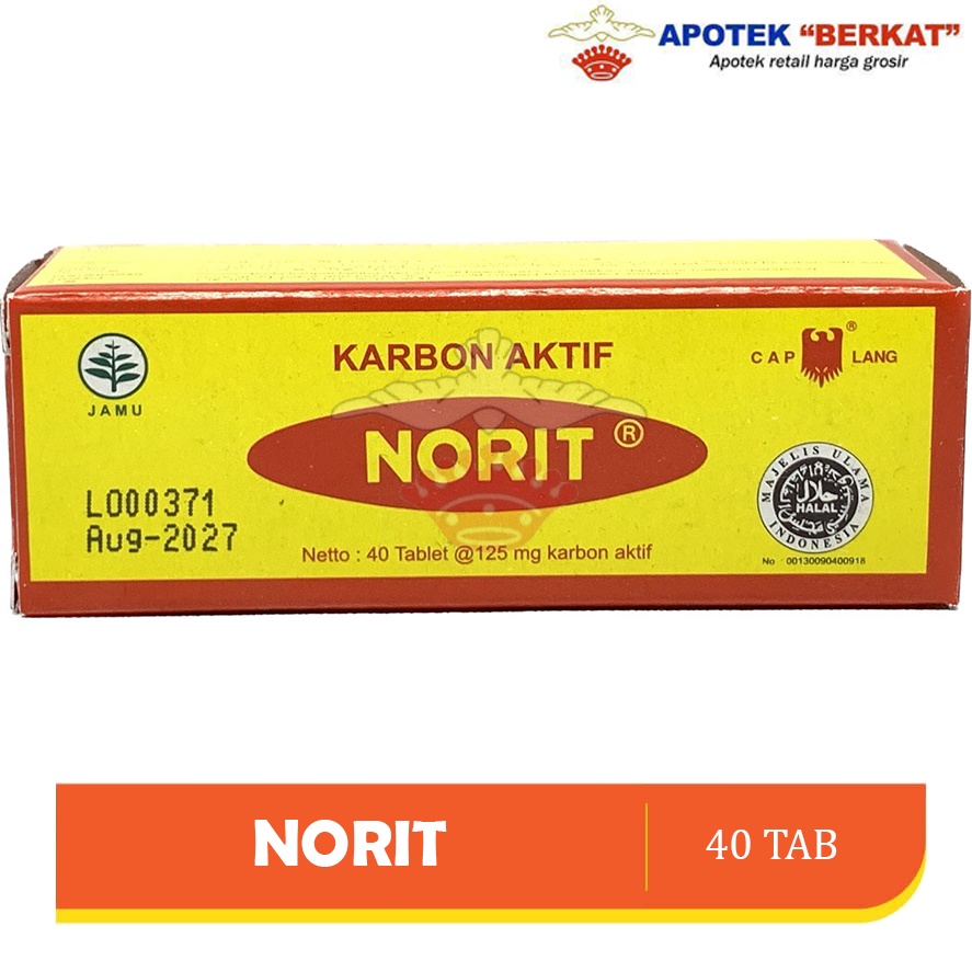Jual NORIT - Obat Diare isi 40 Tablet | Shopee Indonesia