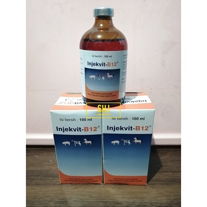Jual INJEKSI VITAMIN B12/INJEKVIT B12 MEDION 100ML | Shopee Indonesia