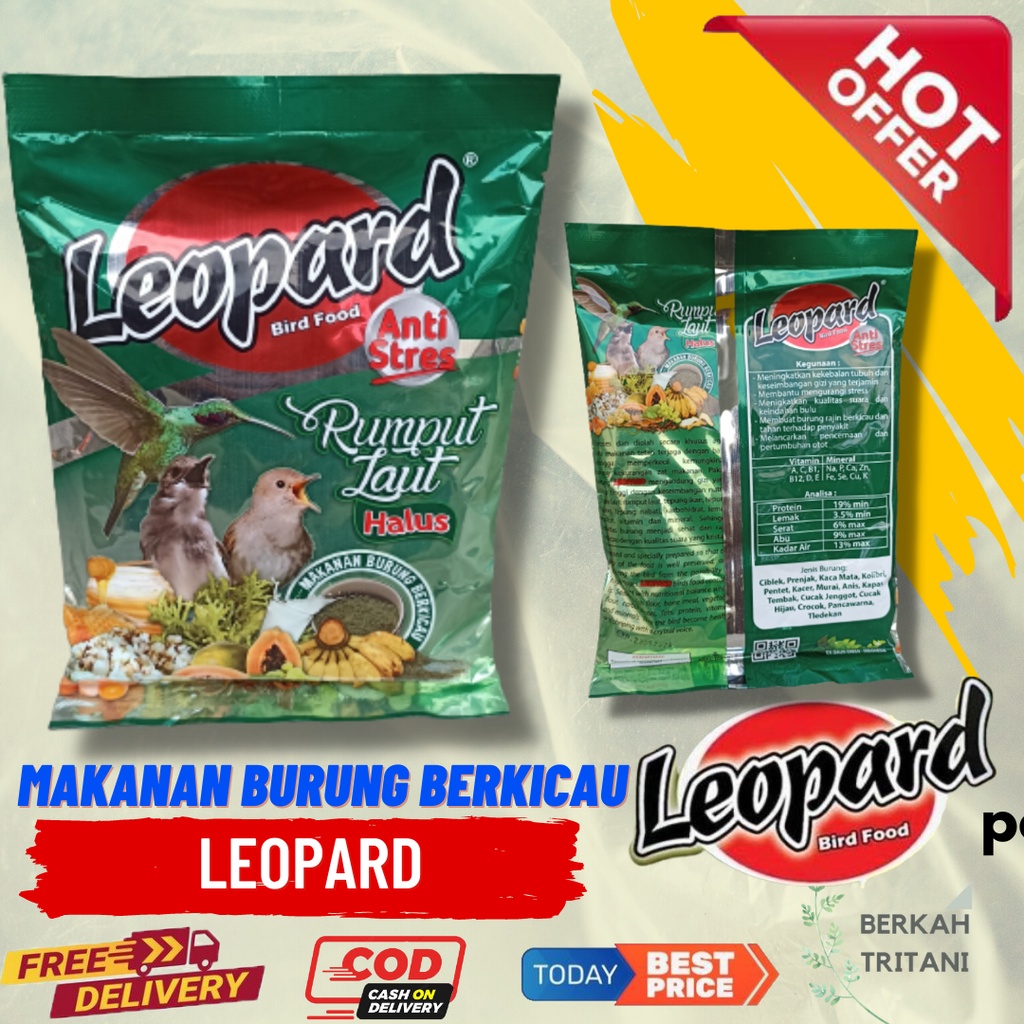 Jual LEOPARD RUMPUT LAUT IJO PAKAN PUR VOER HALUS ALUS PAKAN BURUNG ...