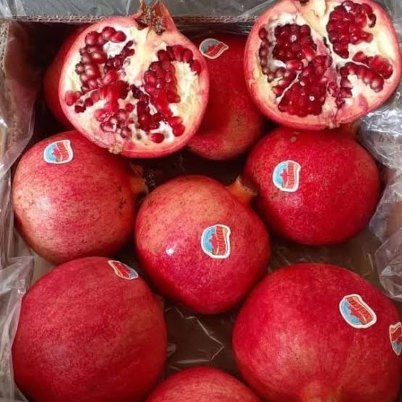 Jual buah delima mesir merah import 1kg | Shopee Indonesia