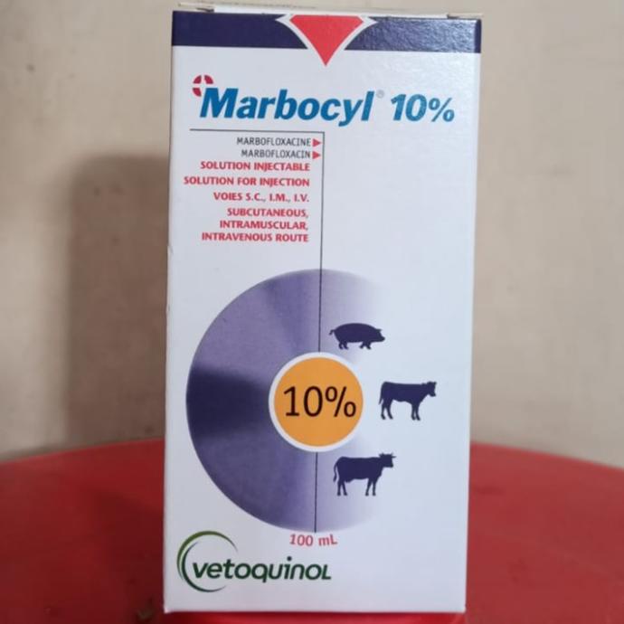Jual Marbocyl 10% (obat pernafasan dan mastitis) | Shopee Indonesia