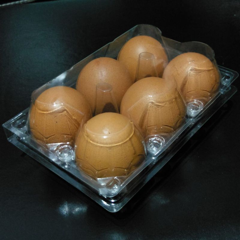 Jual MIKA TELUR EGG TRAY ISI 6 + KUNCI (10 PCS) | Shopee Indonesia