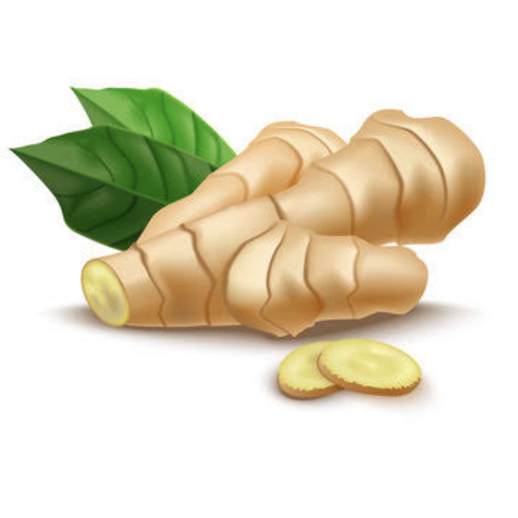 Jual True Ginger Fragrance Oil 100 gr | Shopee Indonesia