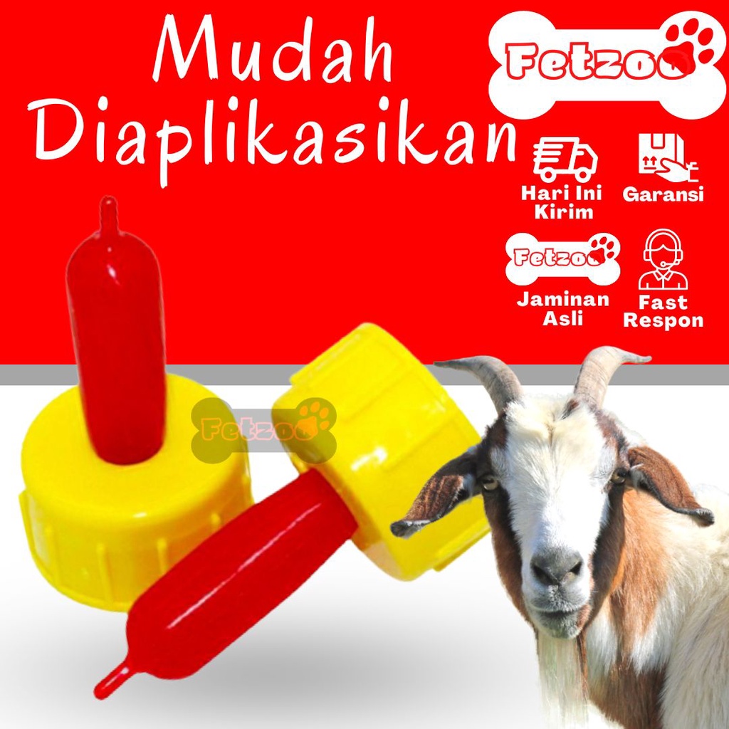 Jual Dot Kambing Domba Cempe Hewan Peliharaan Ternak FETZOO | Shopee ...