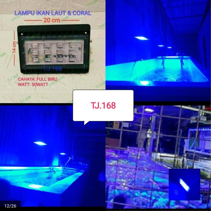 Jual KAP SOROT LAMPU TEMBAK AUDALUX LED FLOOD LIGHT (BIRU) 50WATT SMD ...