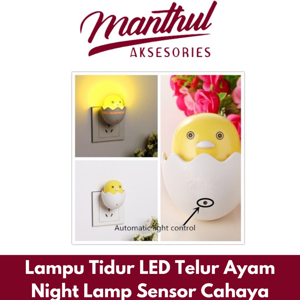 Jual Lampu Tidur LED Telur Ayam Night Lamp Sensor Cahaya Dekorasi ...