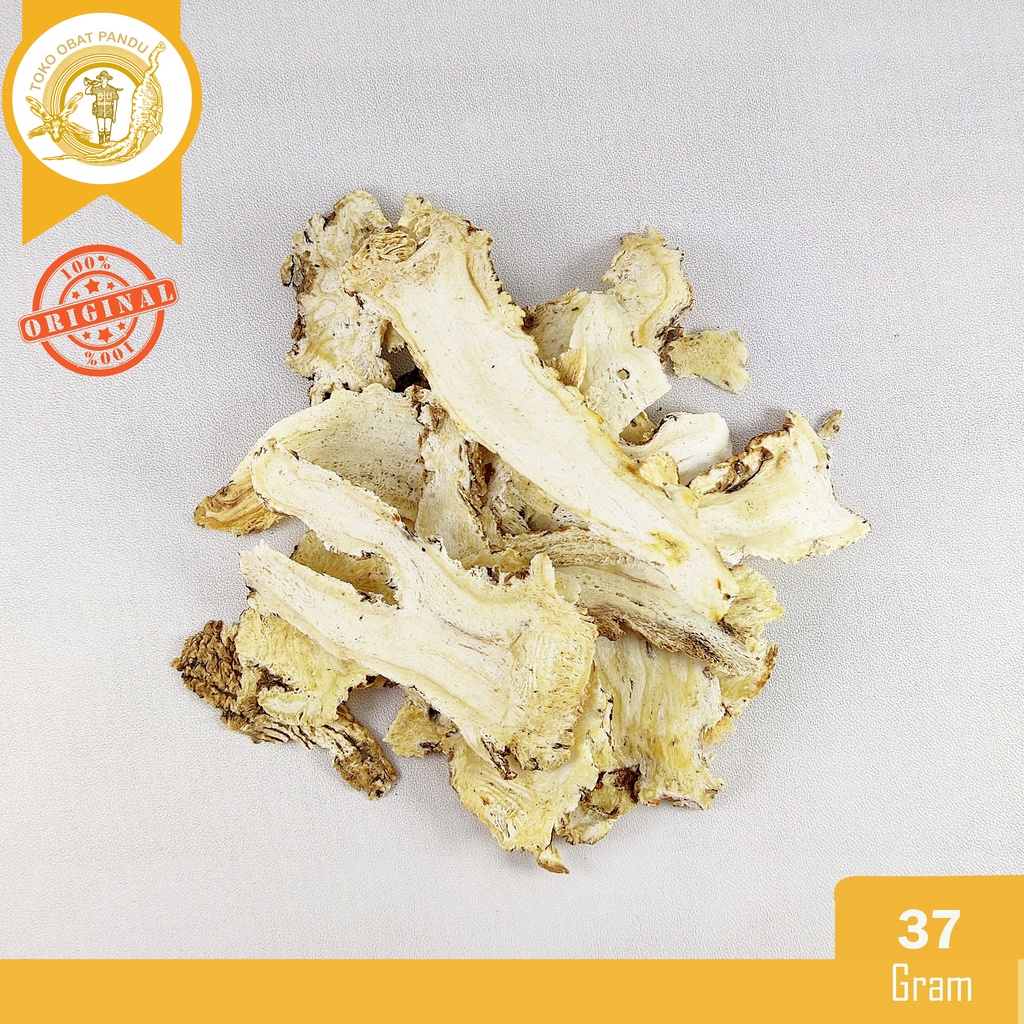 Jual DANG GUI TOU (37 gram) / TANG KUI / TANG KWEI / TANGKUI | Shopee ...