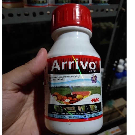 Jual INSEKTISIDA ARRIVO 30EC 100ML-250ML | Shopee Indonesia