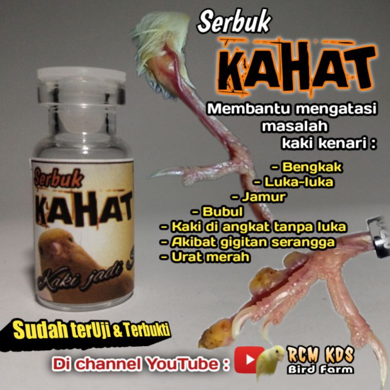 Jual S. KAHAT - SOLUSI KAKI KENARI | Shopee Indonesia