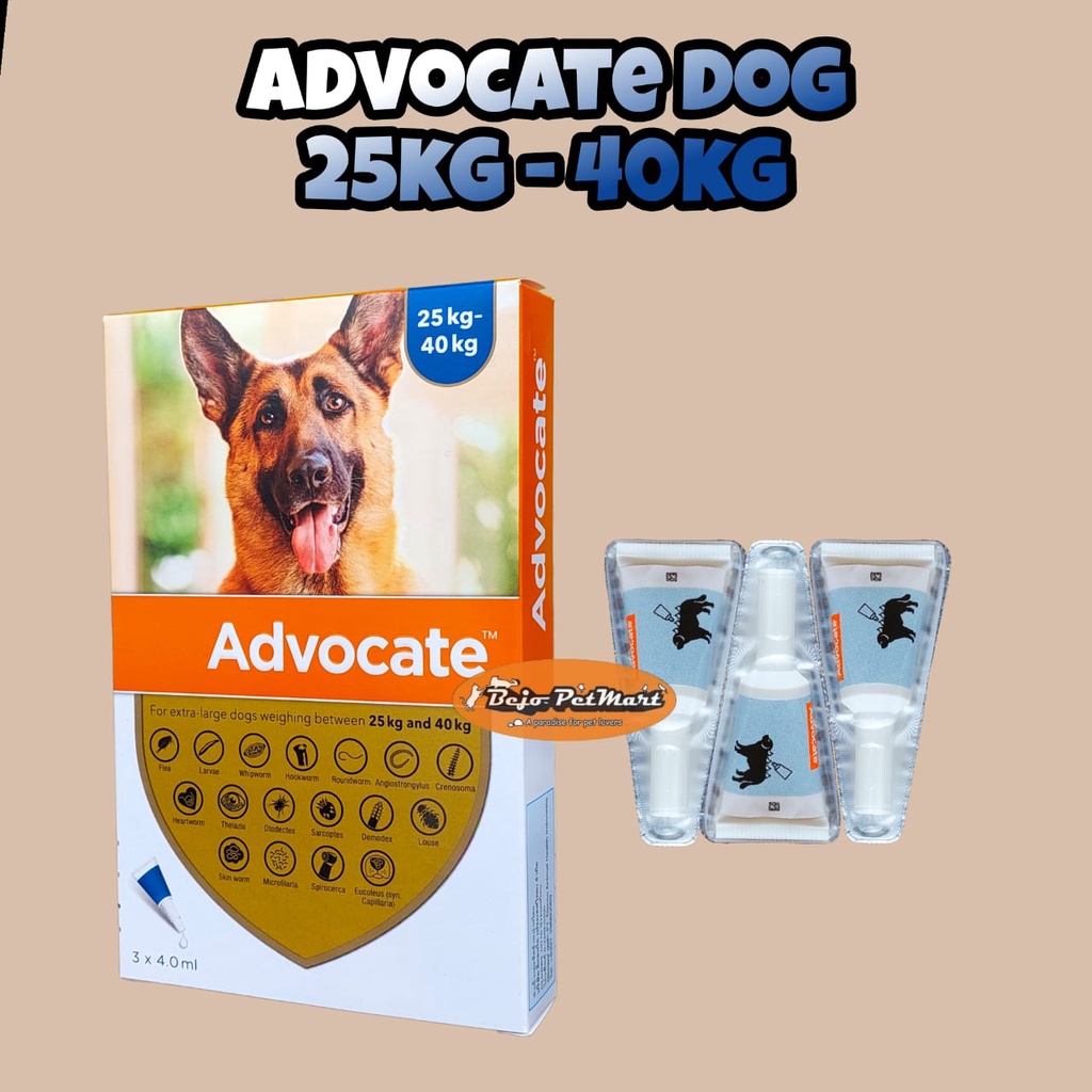 Jual ADVOCATE DOG 10-25 KG ( OBAT KUTU ANJING 1PC ) | Shopee Indonesia