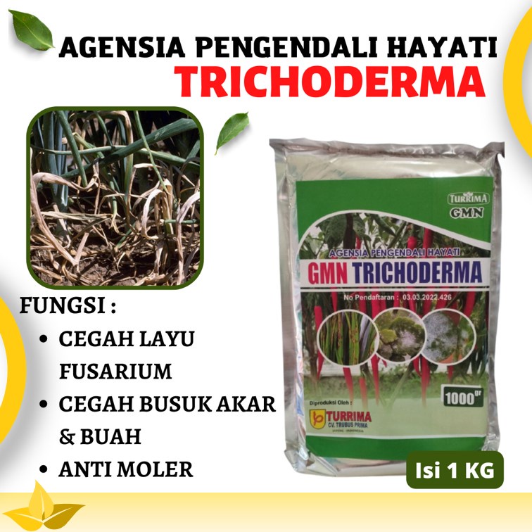 Jual Pupuk Hayati Trichoderma Anti Layu Pada Buah Semangka, Pupuk Anti ...