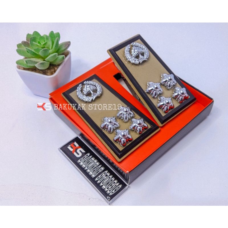 Jual PANGKAT ASN LAMPUNG 3D-PANGKAT PNS LAMPUNG FUL AKRILIK (3D ...