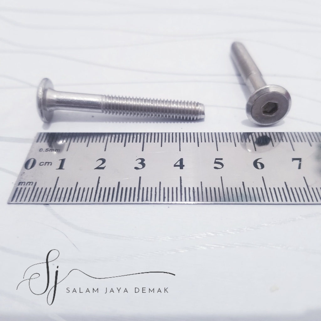 Jual M6 x 45 Baut JCBC SS STAINLESS STEEL Knockdown Furniture SUS 304 ANTI KARAT | Shopee Indonesia