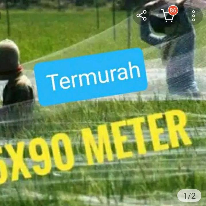 Jual Harga Murah GVLB8 JARING BURUNG JARING PADI JARING EMPRIT JARING ...