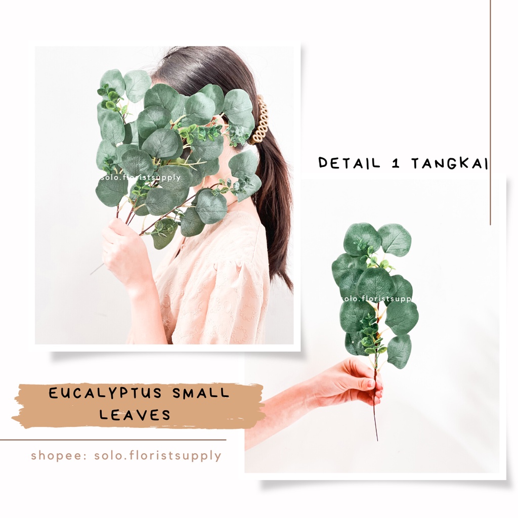 Jual EUCALYPTUS VARIASI CHERRY DAISY LAVENDER EUCALYPTUS SMALL LEAVES ...