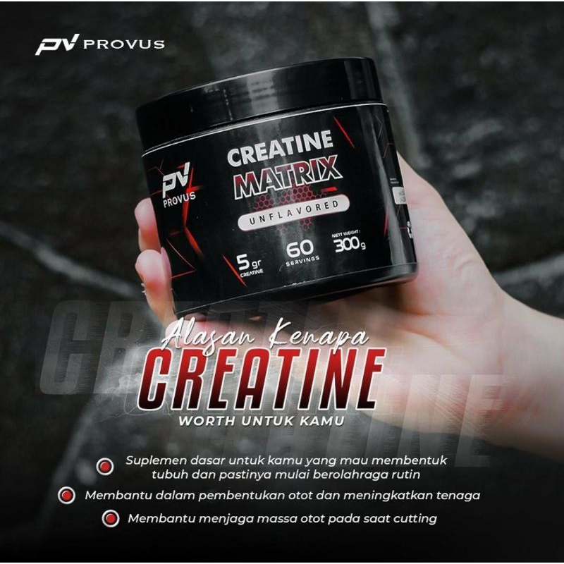 Jual CREATINE MATRIX PROVUS 60 SERVING 300 GRAM SUPLEMEN GYM FITNES ...
