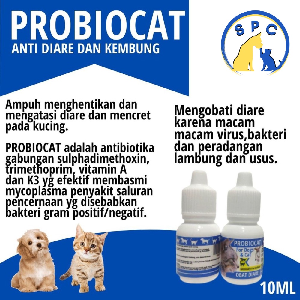 Jual Obat Kucing Mencret Diare Gangguan Pencernaan Probiotik Kucing ...