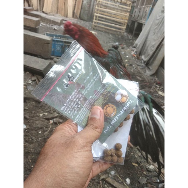 Jual Jamu ayam KUSUMA BF | Shopee Indonesia