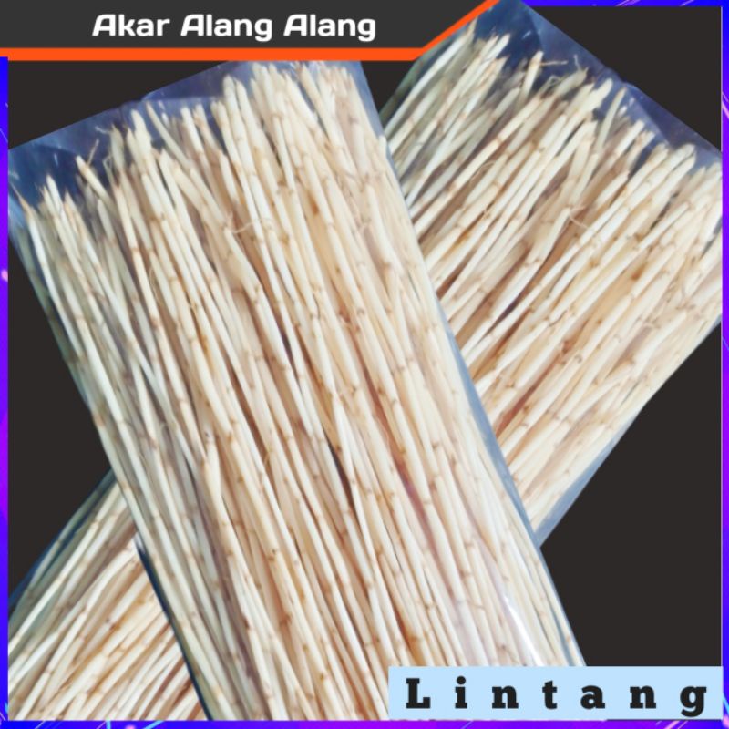 Jual Akar Alang Alang Segar 1Kg | Shopee Indonesia