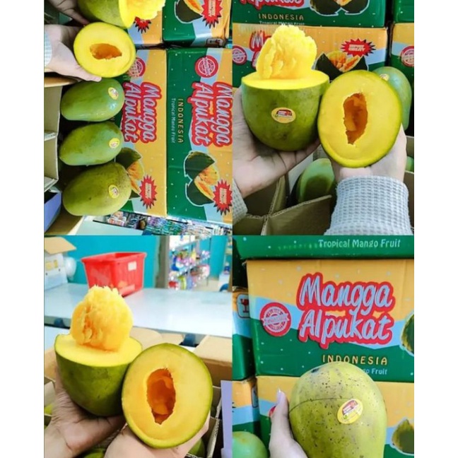 Jual PROMO MANGGA ALPUKAT HARGA PER 1KG YA KK | Shopee Indonesia