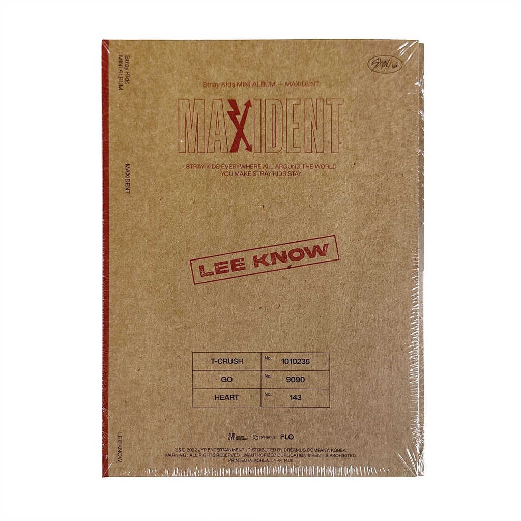 Jual Stray Kids - Mini Album [MAXIDENT] (CASE Ver.) | Shopee Indonesia