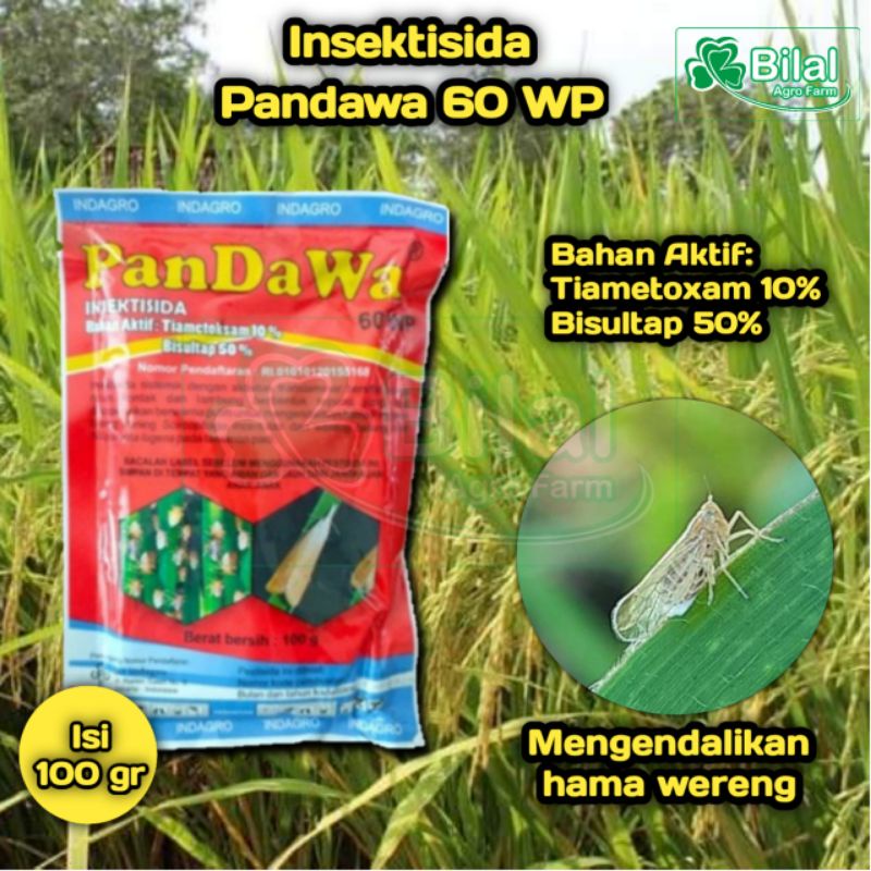 Jual Insektisida Pandawa 60 WP Isi 100 Gram - Obat Padi Mengendalikan ...