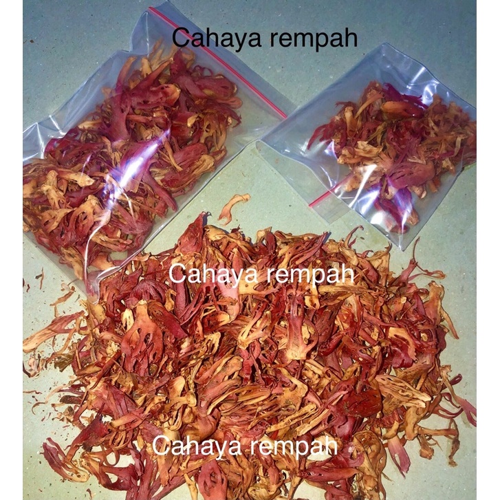 Jual Bunga pala asli sumatra barat | Shopee Indonesia