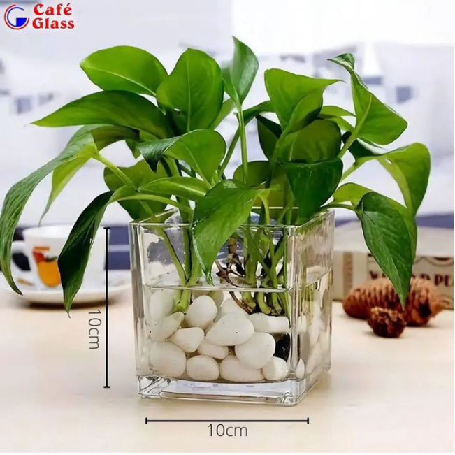 Jual Vas Square Aesthetic 10 x 10cm Kaca | Shopee Indonesia