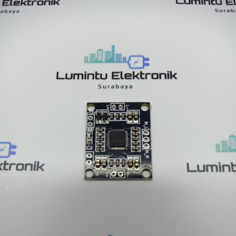 Jual PAM 8610 mini digital amplifier board dual channel 12v | Shopee ...