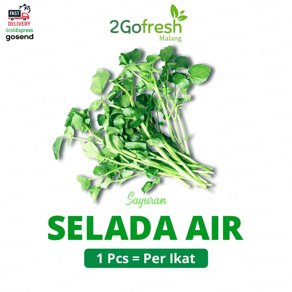 Jual Sayur Selada Air / Watercress Fresh - Sayuran | Shopee Indonesia