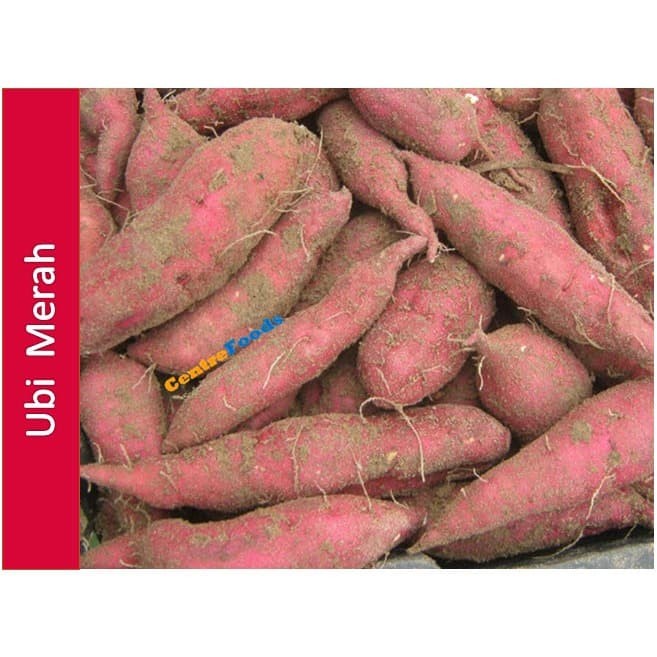 Jual Ubi Jalar Merah - Ketela Rambat | 1.000gr [ Harga Per KG ...