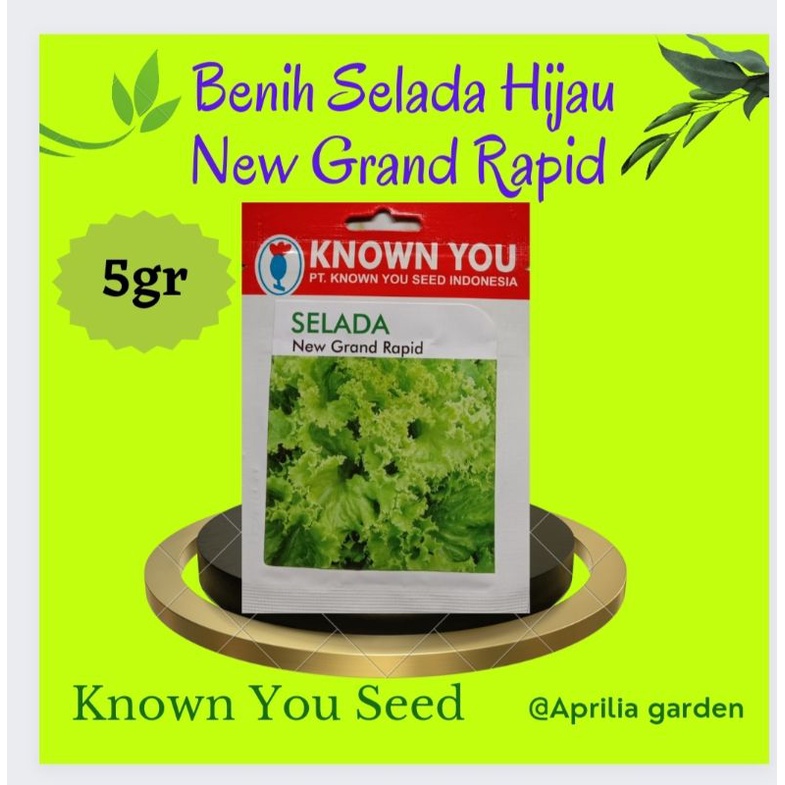 Jual Benih Selada Hijau New Grand Rapid 5gr Original Known You Seed | Shopee Indonesia