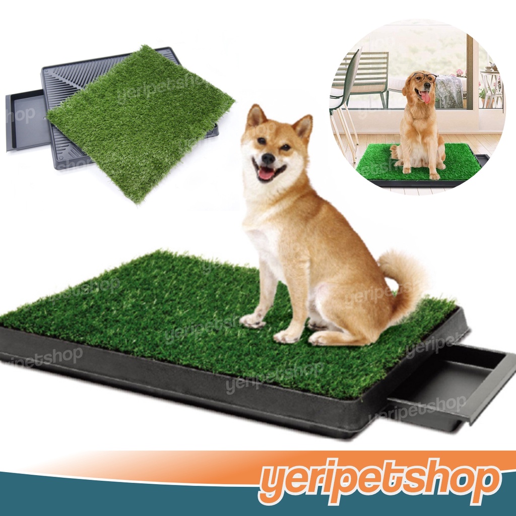 Jual Pet Potty Pad Traning Dog Tray Grass Rumput Anjing | Shopee Indonesia