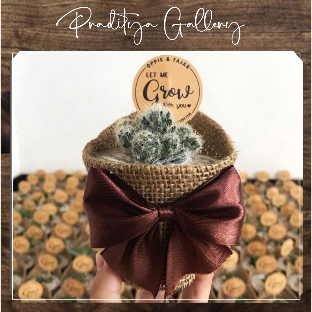 Jual Packaging Goni kaktus | Packaging Goni | Packaging Souvenir ...