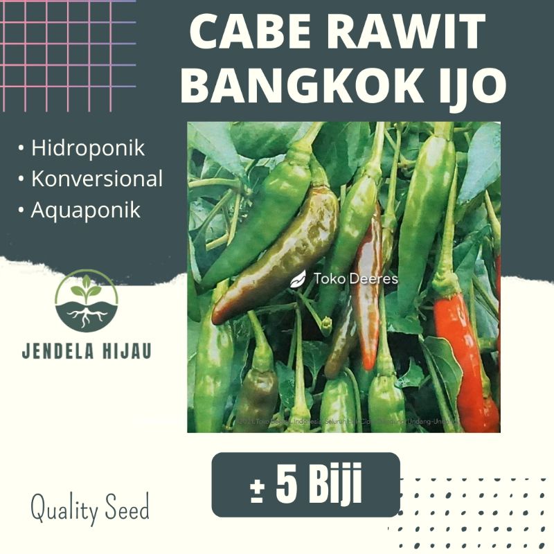 Jual Benih Cabe Rawit BANGKOK IJO - Bibit Tanaman Sayuran Repack ...