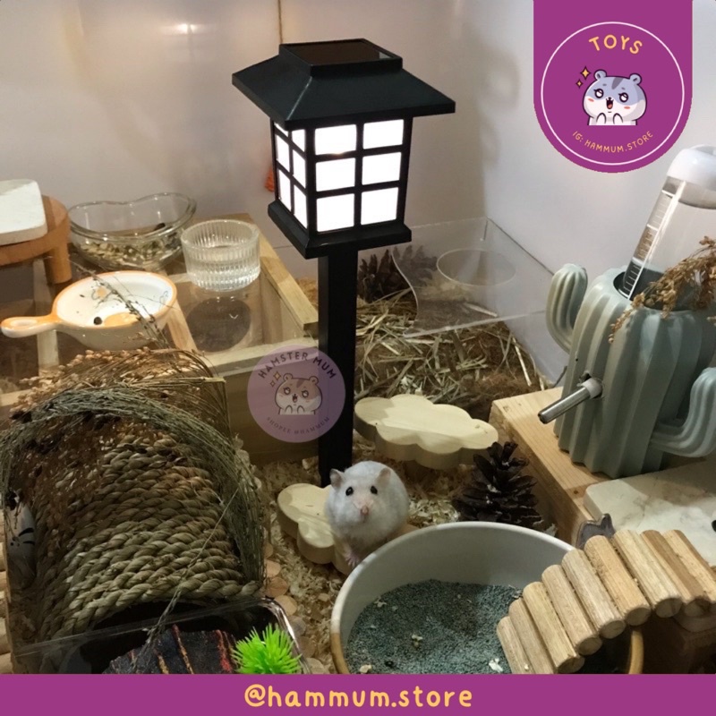 Jual Lampu Hamster Solar | Cage Lantern | Cage Decoration | Accecories ...