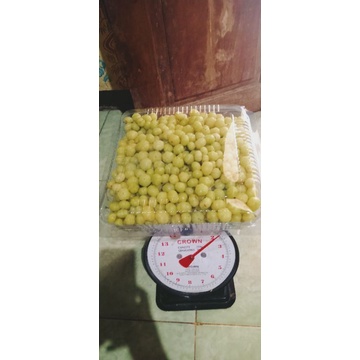 Jual BUAH CERMAI/CEREME SEGAR LANGSUNG PETIK 1KG | Shopee Indonesia