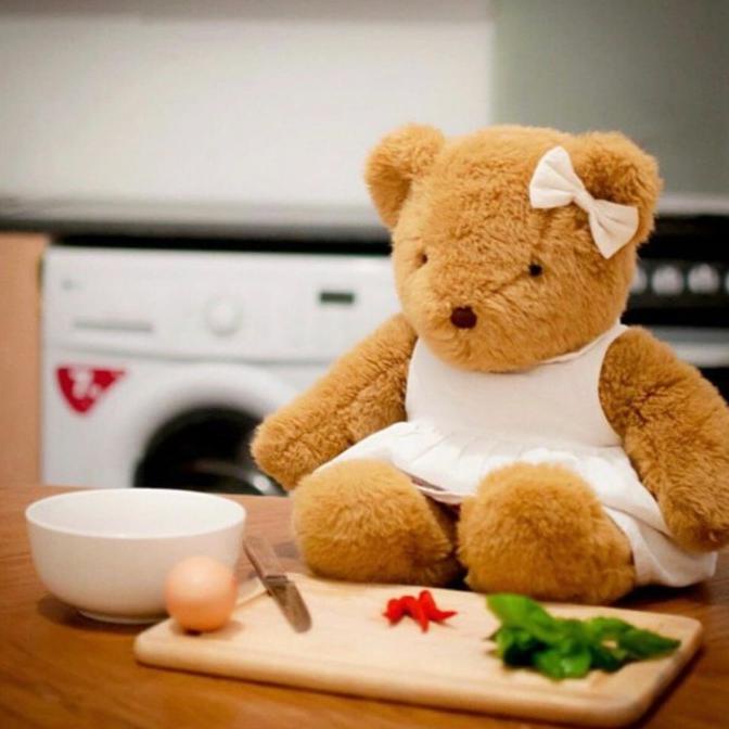 Jual Teddy House Boneka Teddy Bear Tambo Bear 14 Inch | Shopee Indonesia