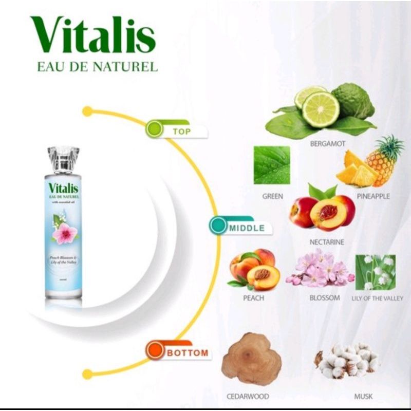 Jual VITALIS EAU DE NATUREL 100 ML | PARFUM TAHAN LAMA BOTOL KACA ...