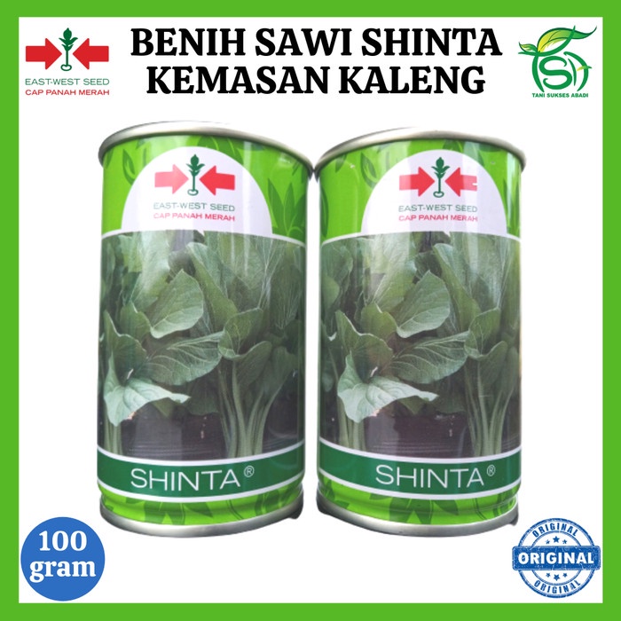 Jual Benih Sawi Shinta Kaleng (100 Gram) Bibit Caisim Panah Merah ...