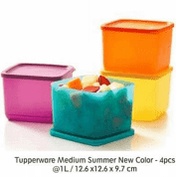 Jual medium summer Tupperware | Shopee Indonesia
