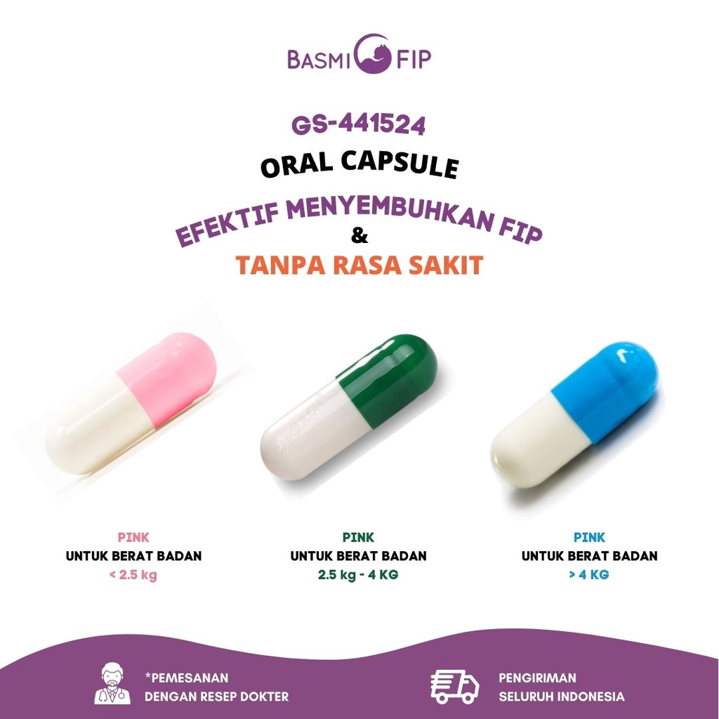 Jual Oral Kapsul Perawatan Kucing / Obat Kucing Untuk FIP Kucing ...