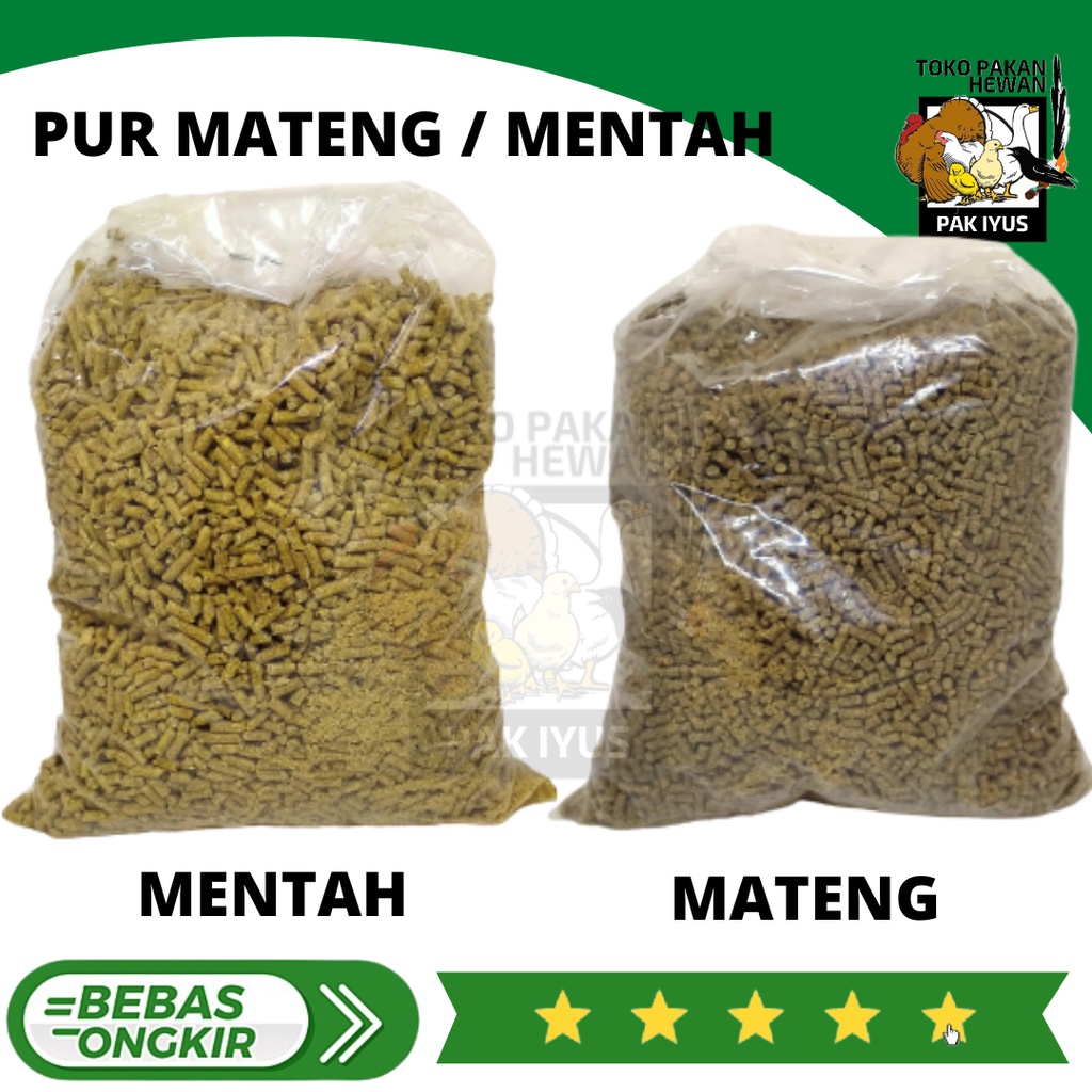 Jual PUR VOER CACING MENTAH MATENG PELET MAKANAN SEMUA BURUNG OCEHAN ...